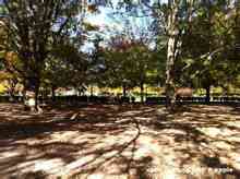 College of William and Mary - Sidor [1] - World uppslagsverk kunskap